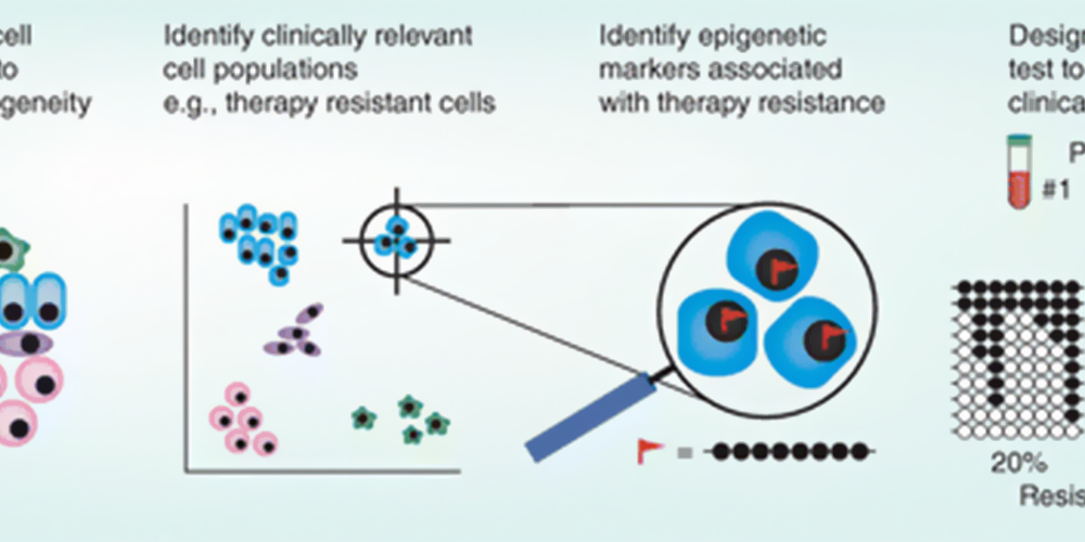 Blog: Single-Cell Epigenomics Methods, Challenges & Applications